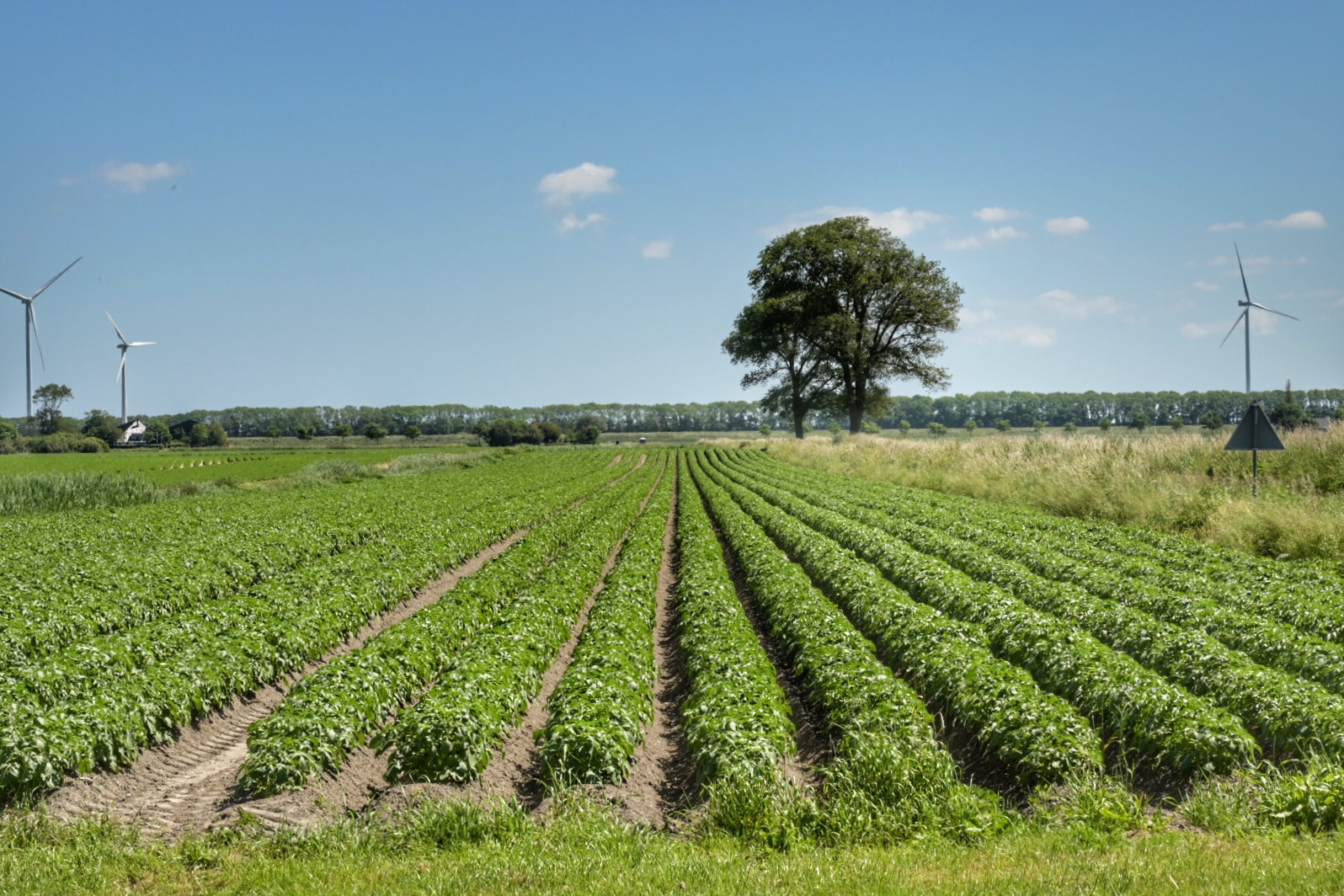 Home - Gemeente Hollands Kroon